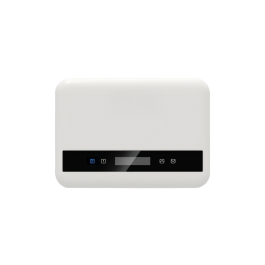 Home Inverter